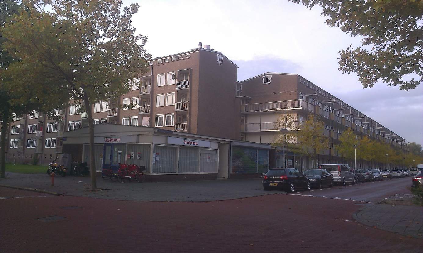 Renovatie Goeman Borgesius | !WOON